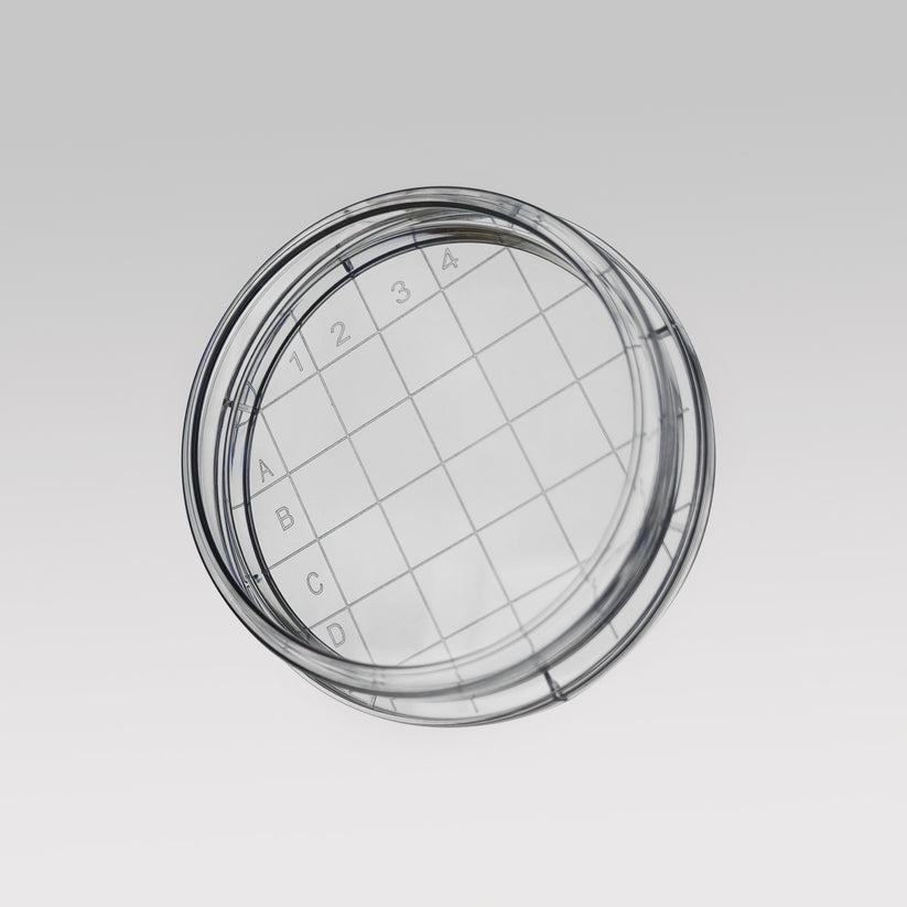 PLACA RODAC 60x15MM 10 UNIDADES – TAAG-ls